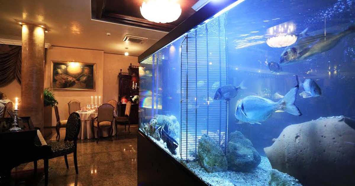 Restoran NIKO, Zadar - Gastronaut restorani