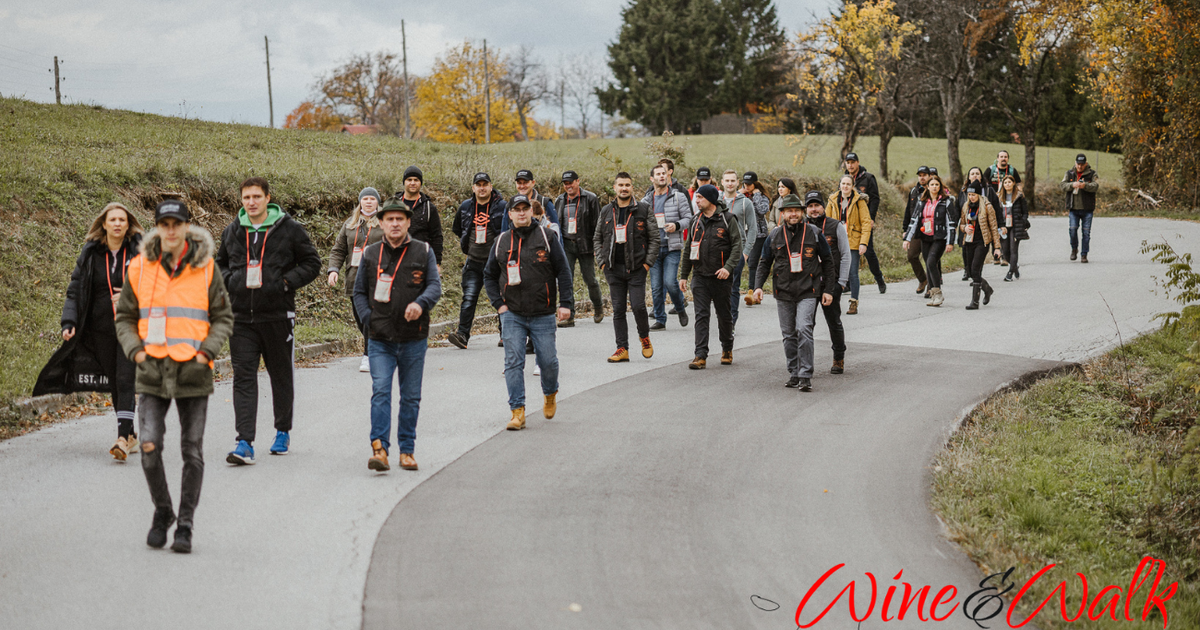 Vivodina Wine & walk | Gastronaut